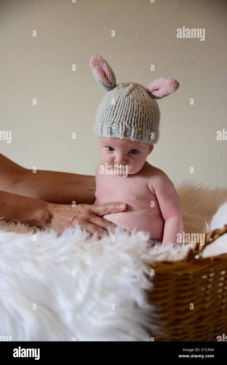 Rabbit being held hi-res stock photography and images - Alamy