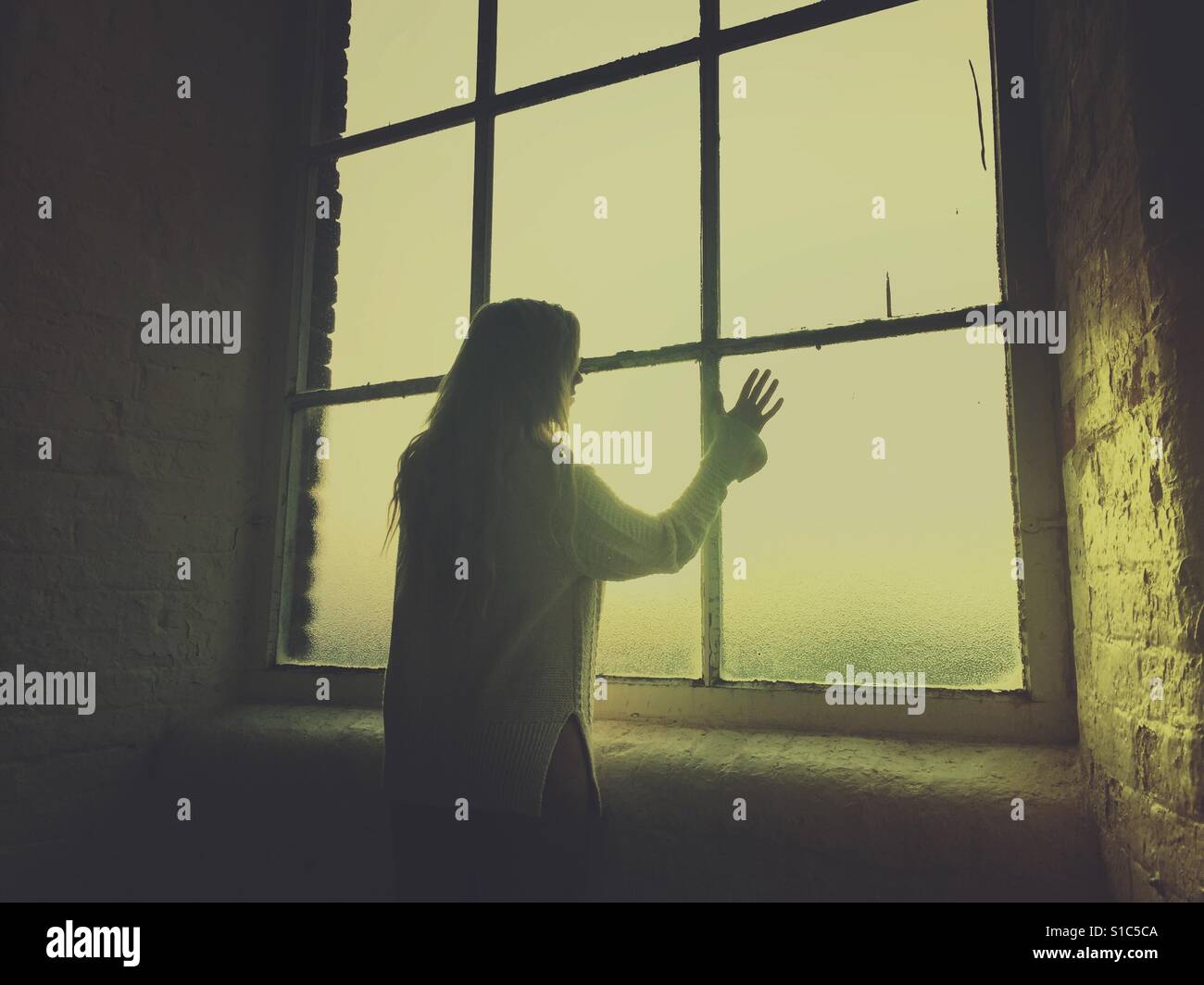 Rear view silhouette of a young woman looking out of the window hand ...