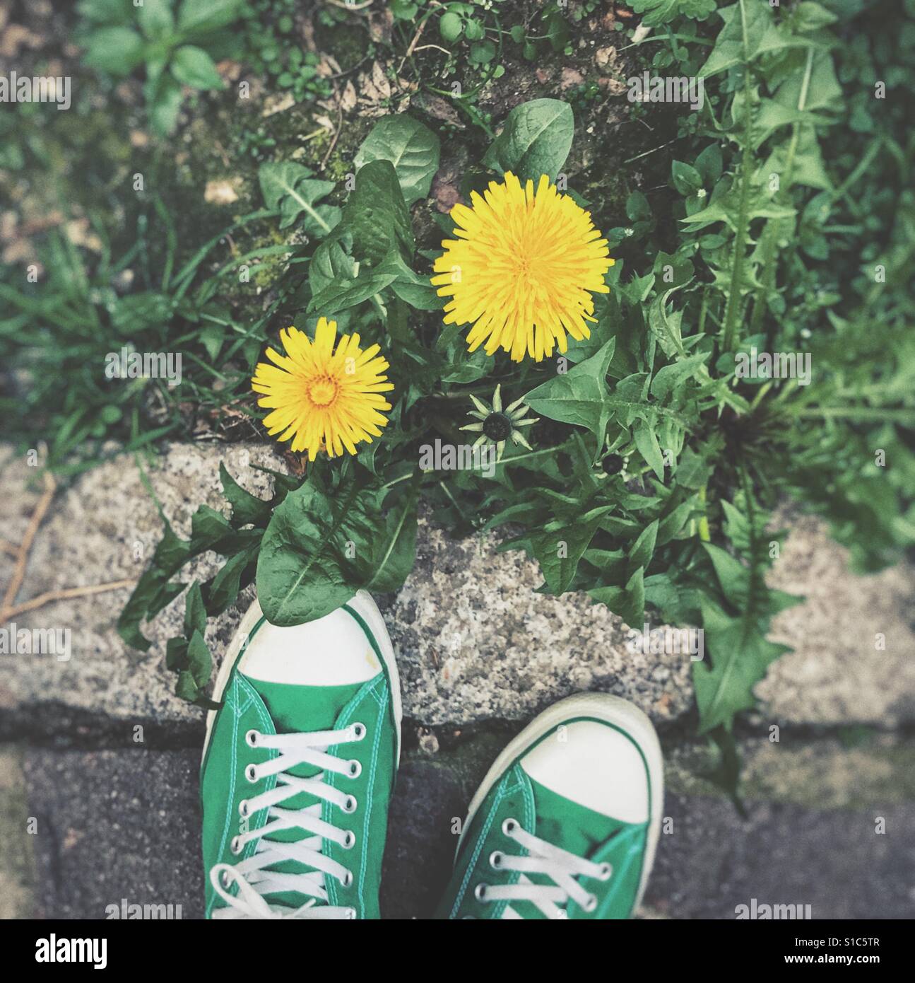 Shoes top down hi-res stock photography and images - Alamy