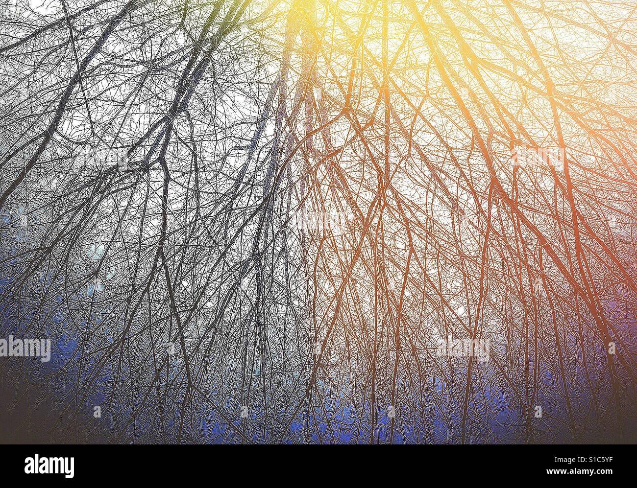 Inverted tree hi-res stock photography and images - Alamy