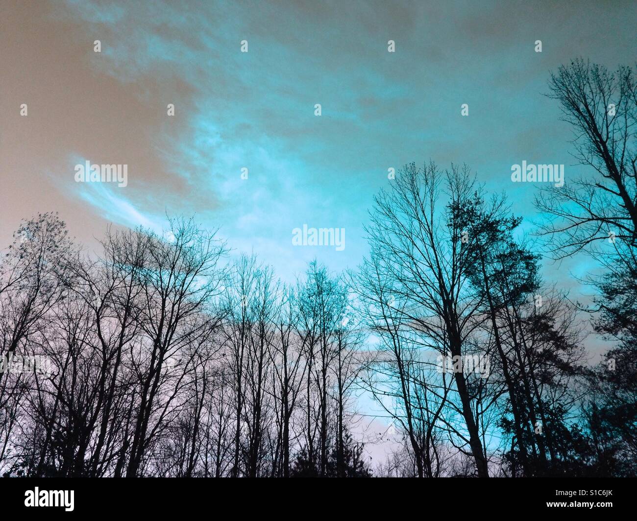 Winter sunset, filter applied Stock Photo - Alamy