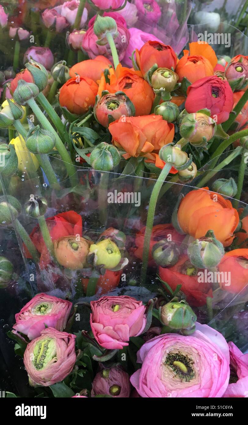Farmers market flowers hi-res stock photography and images - Alamy