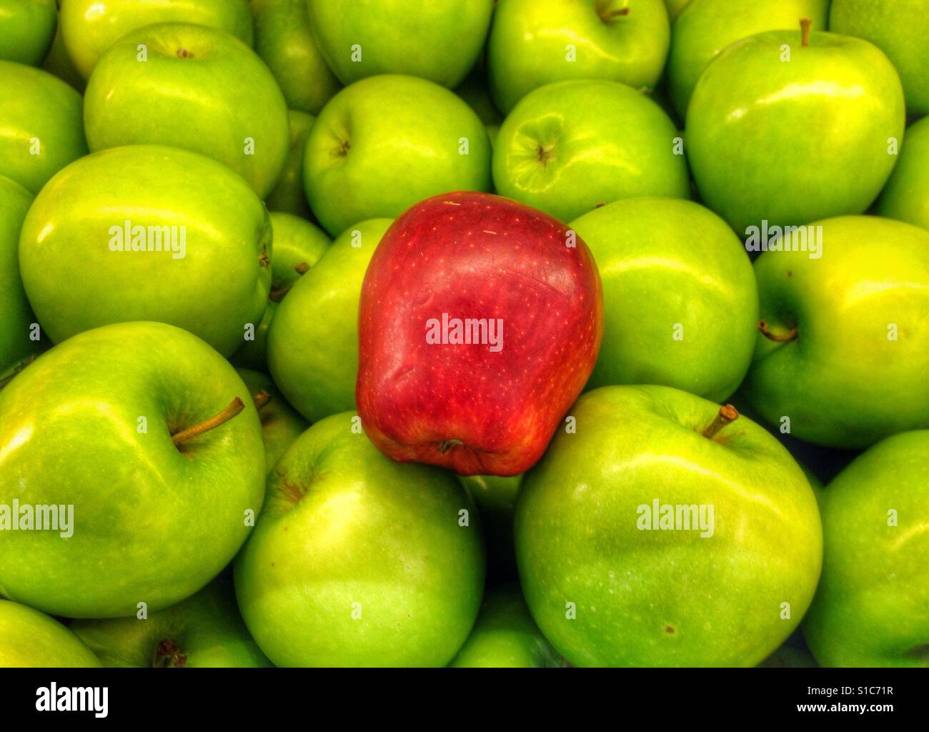 One Red Apple Between Many of Green Apple Stock Photo - Alamy