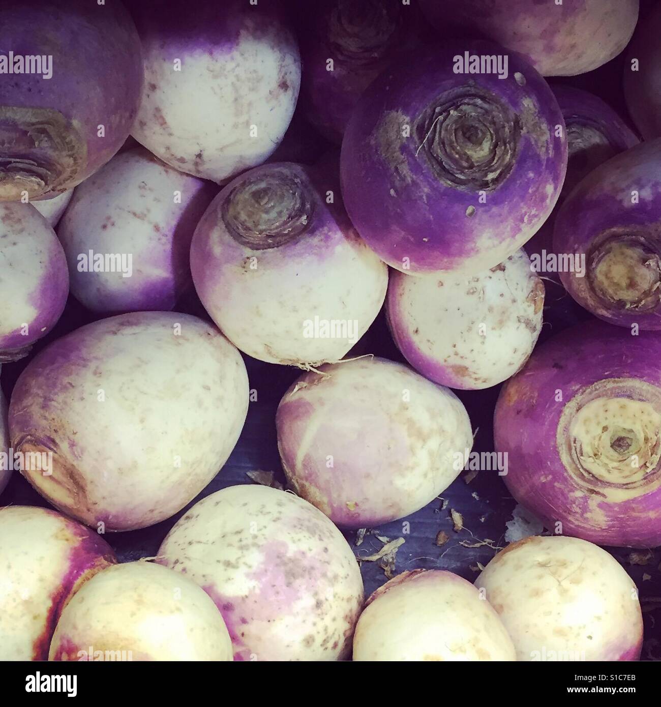 Turnips by K.R Stock Photo - Alamy