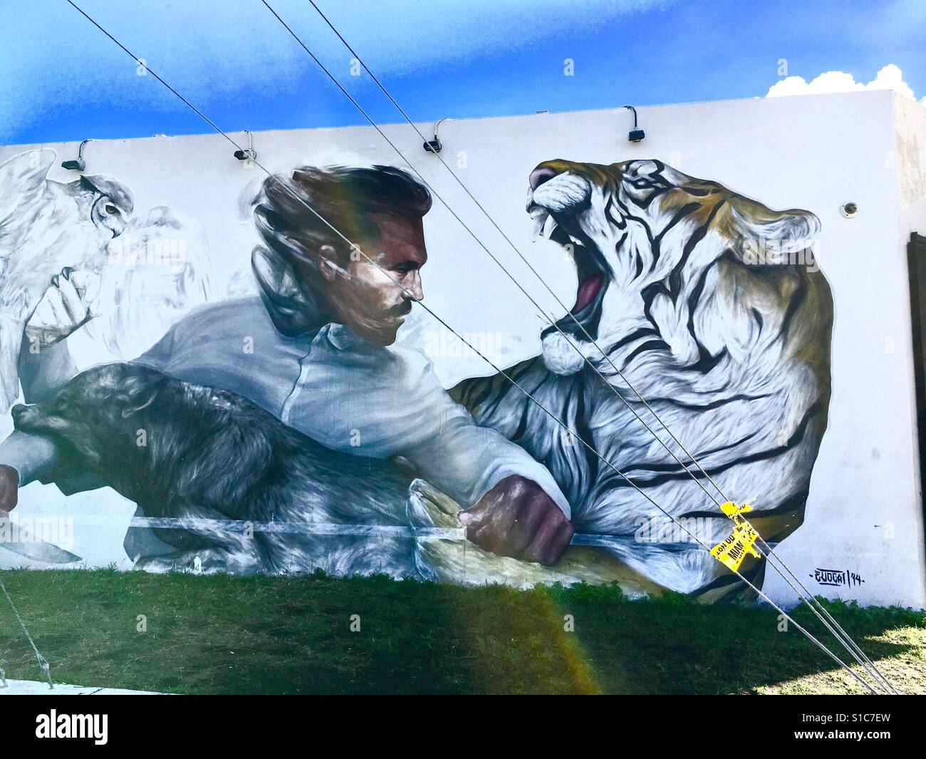 Man and tiger fighting on Wynwood mural Stock Photo - Alamy