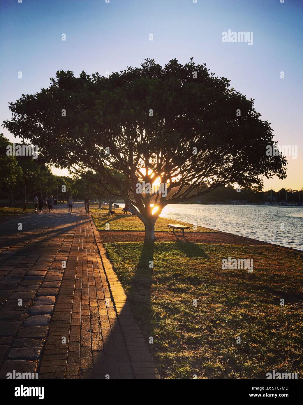 Rozelle bay hi-res stock photography and images - Alamy