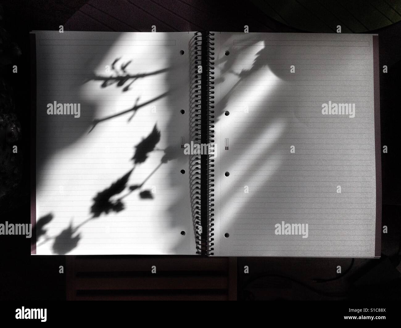 Notebook with empty pages and shadows of leaves falling across them ...