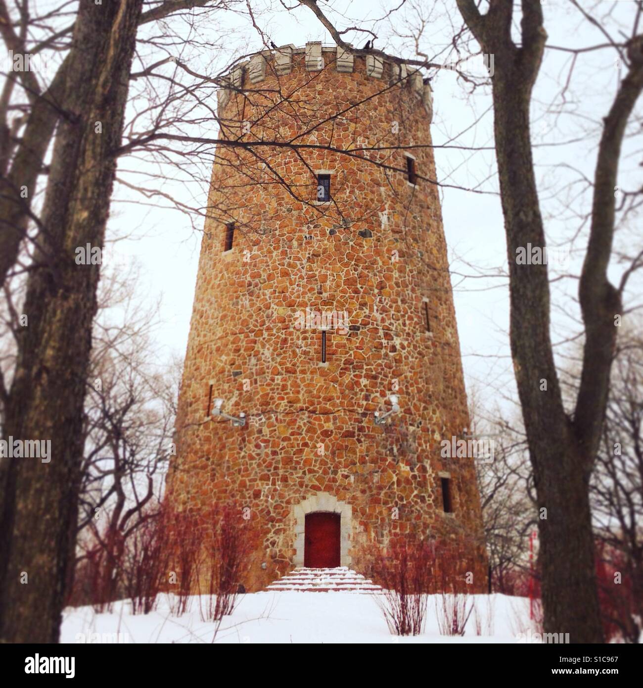 Medieval trees hi-res stock photography and images - Alamy