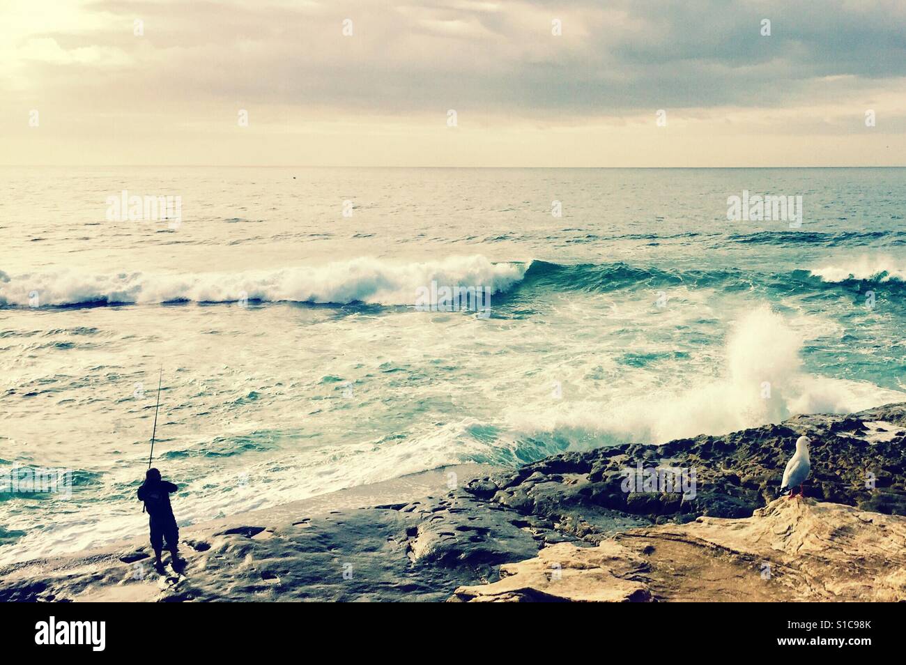 Rock and surf fishing hi-res stock photography and images - Alamy