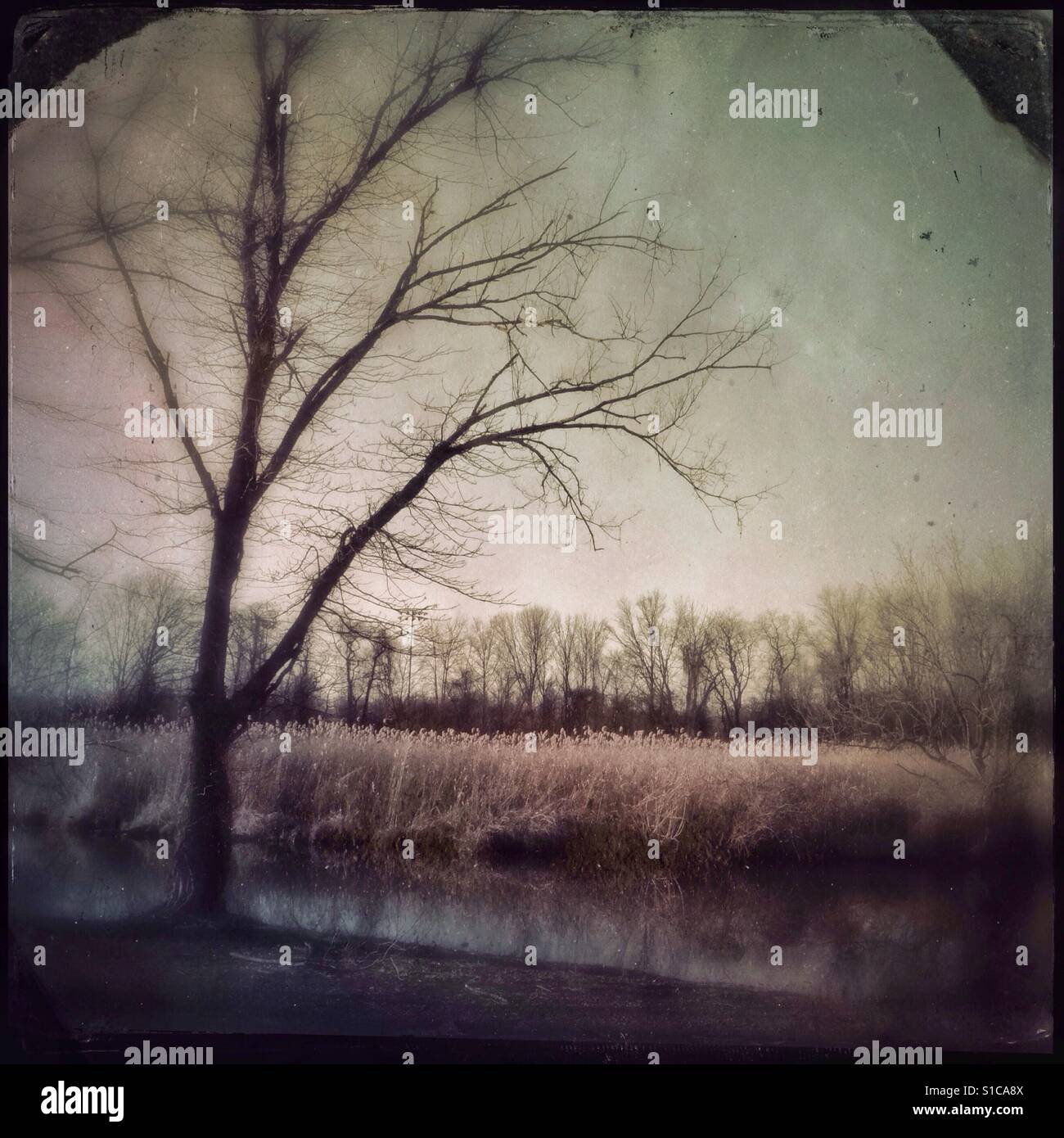 Nostalgic landscape hi-res stock photography and images - Alamy