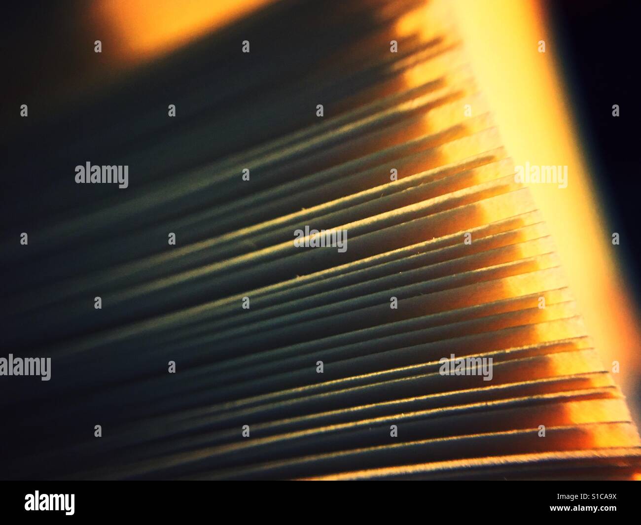 From a book hi-res stock photography and images - Alamy