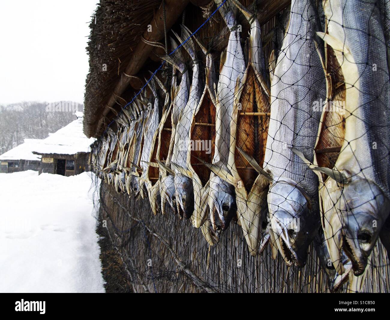 Ainu People High Resolution Stock Photography and Images - Alamy