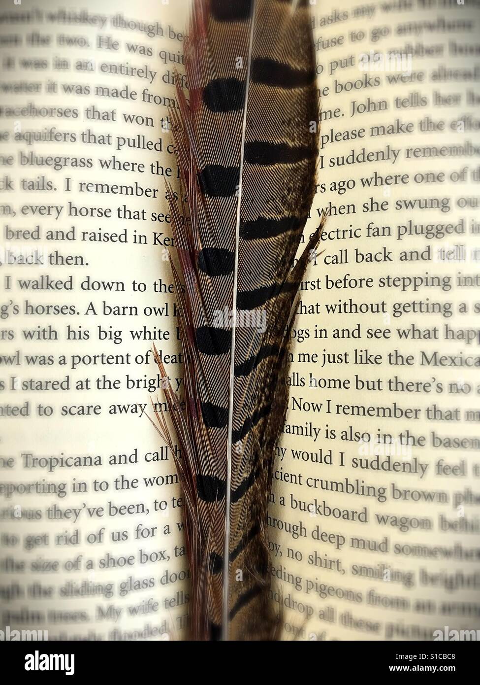 Mark marker hi-res stock photography and images - Alamy