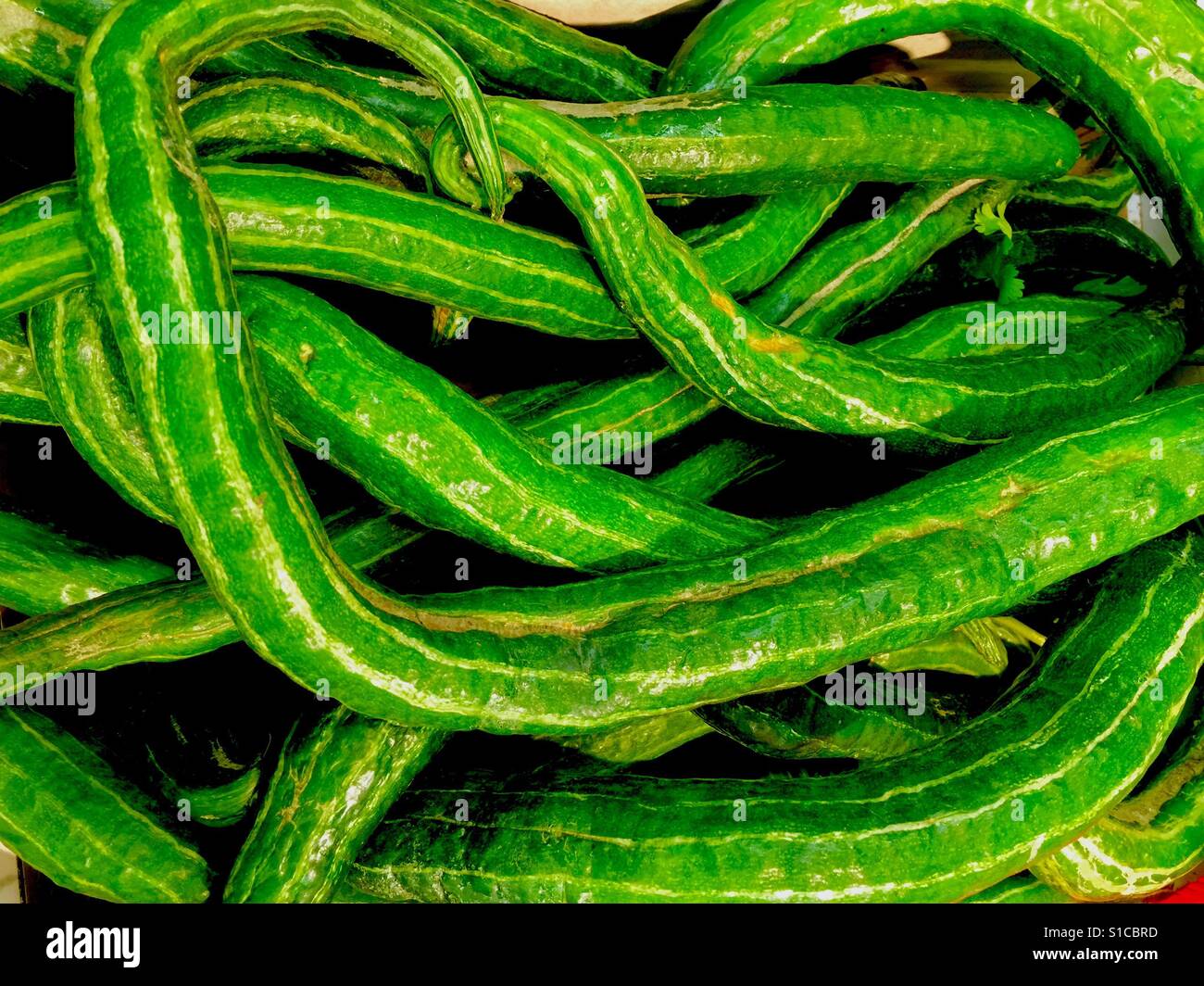 Snake gourd hi-res stock photography and images - Alamy
