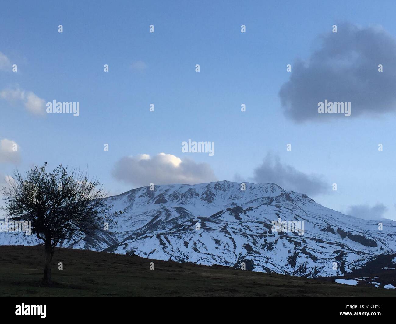 Evening in the nature Stock Photo - Alamy