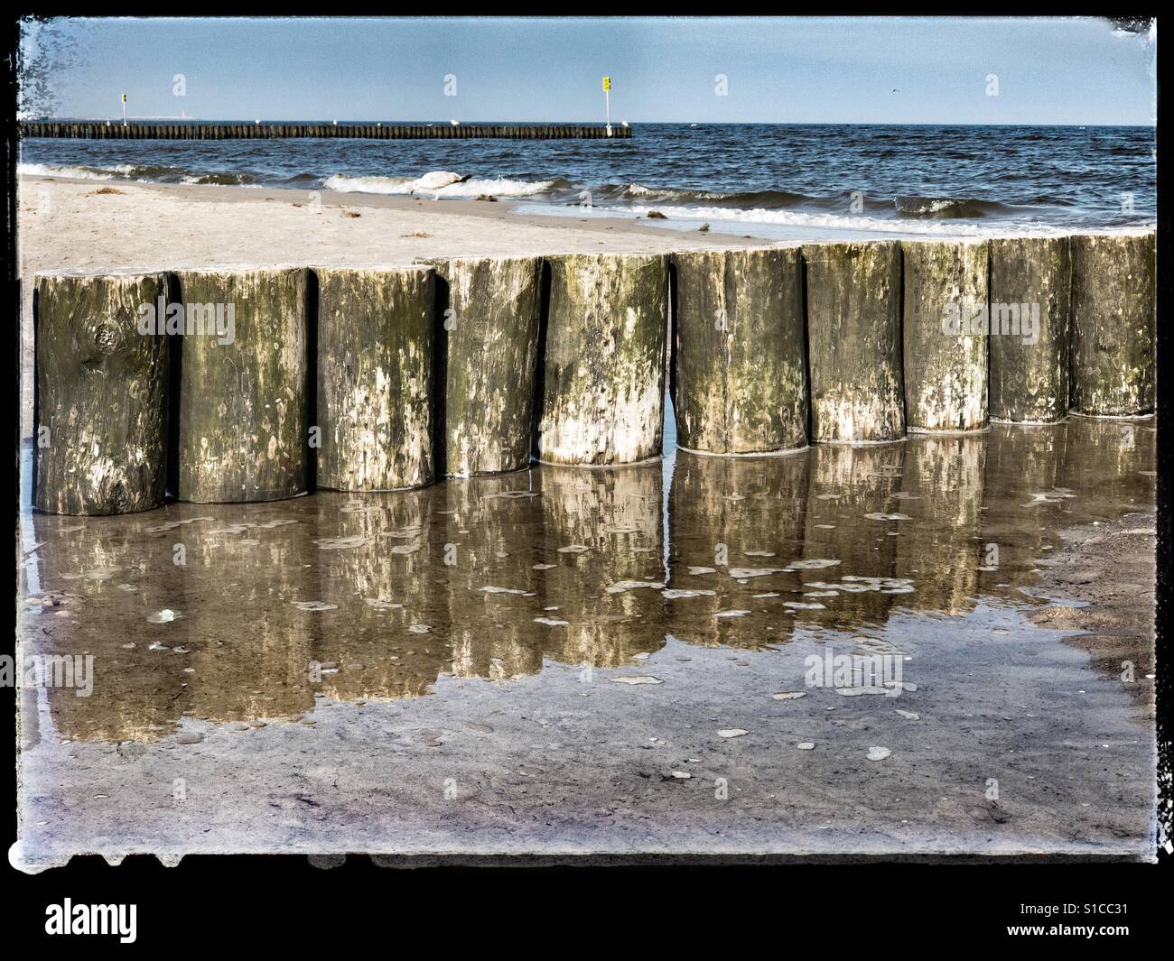Groynes at the beach of the Baltic Sea Stock Photo - Alamy