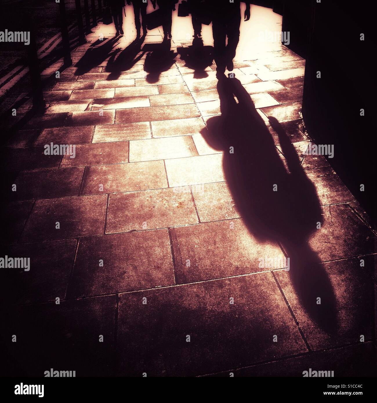 Man following woman walking in the dark hi-res stock photography and ...