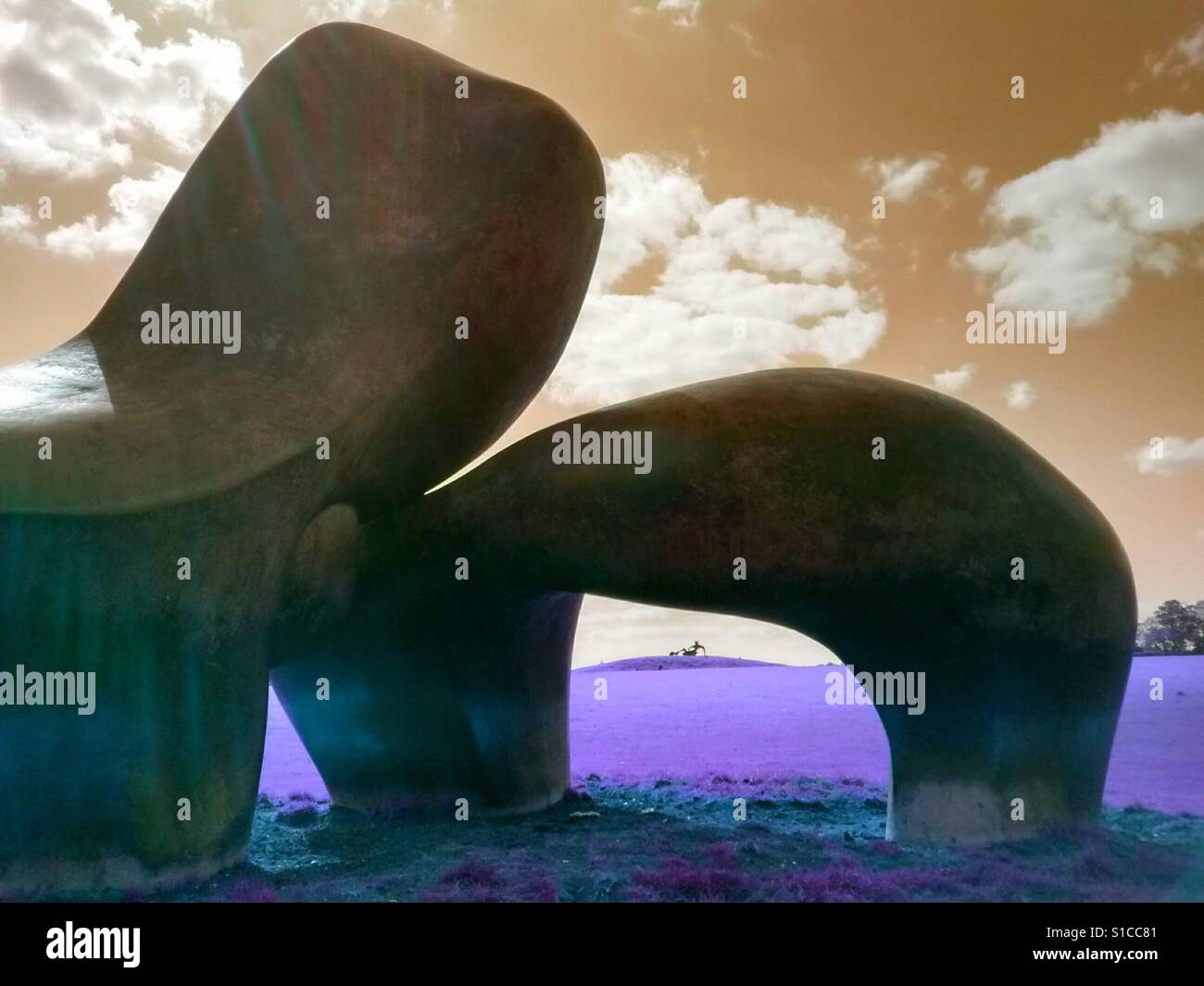 Sculpture henry moore foundation hi-res stock photography and images ...