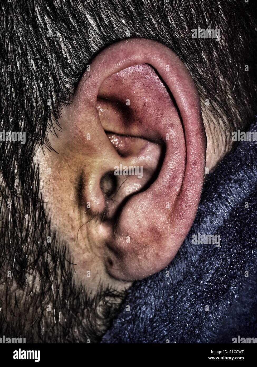 Earlobe hi-res stock photography and images - Alamy