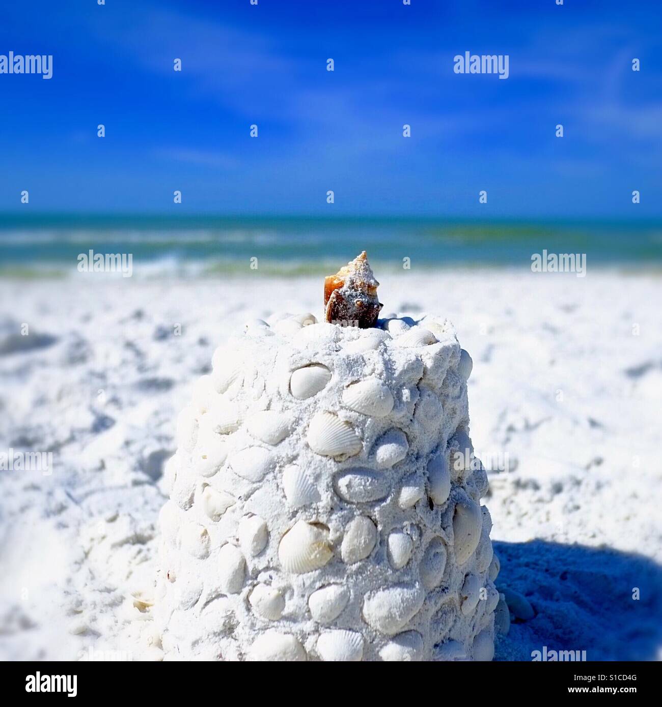 The castle of shell hi-res stock photography and images - Alamy