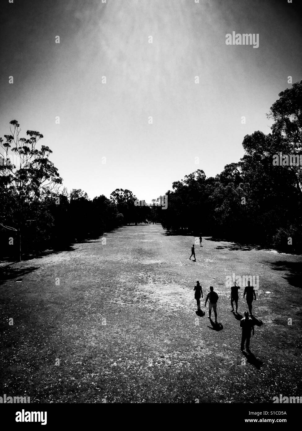 Afternoon heat bearing down on group of people, long shadows Stock ...