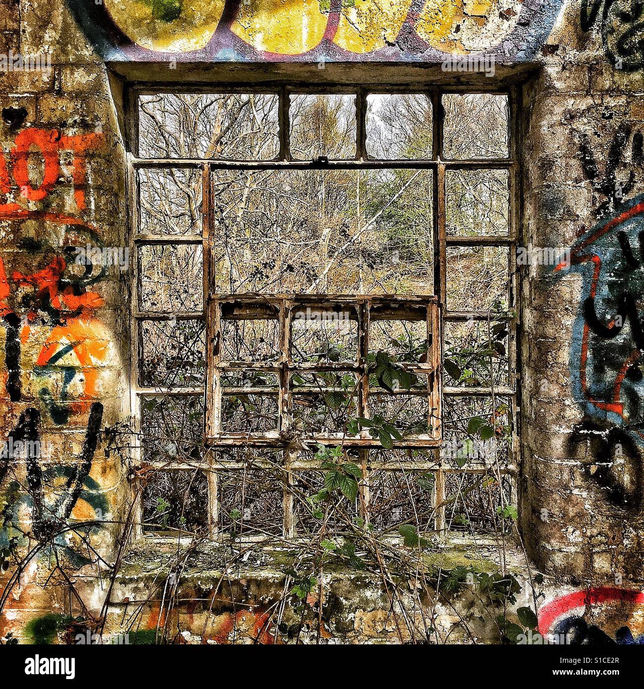 Broken Back Window High Resolution Stock Photography and Images - Alamy