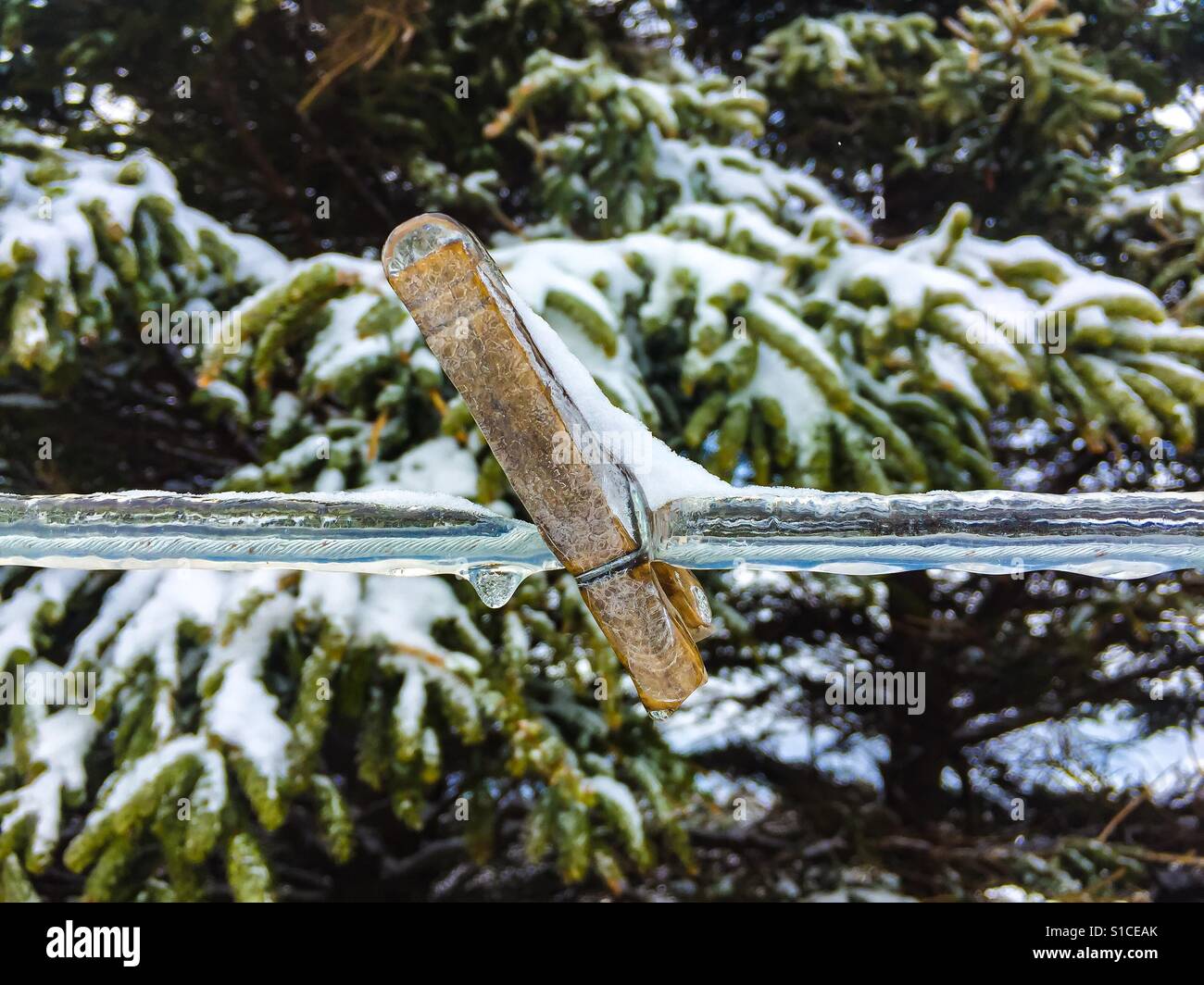 Clothespin sculpture hi-res stock photography and images - Alamy
