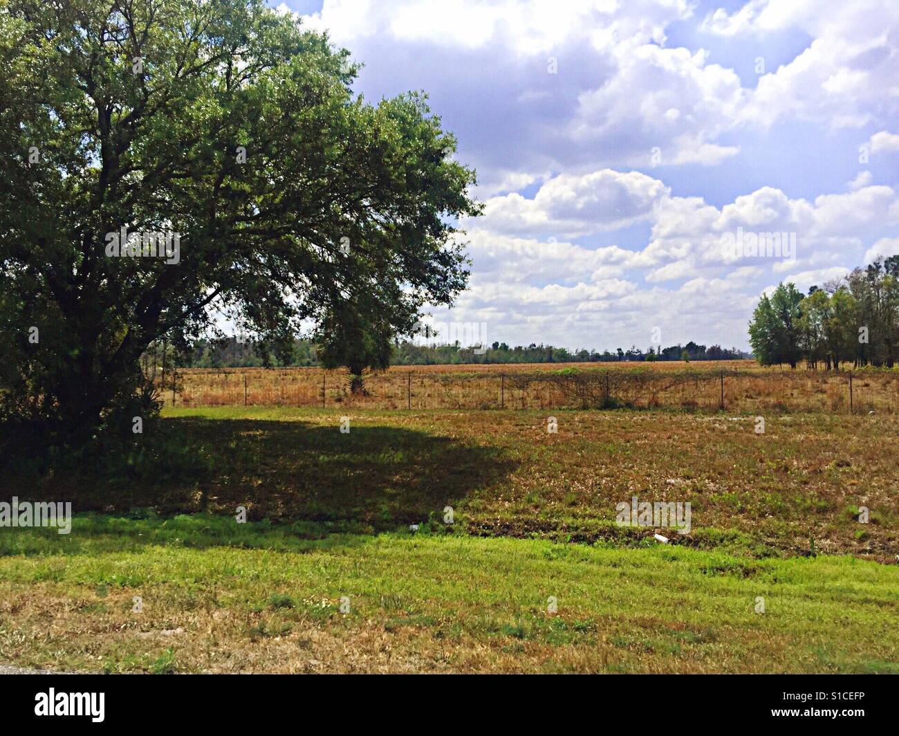 Florida countryside hi-res stock photography and images - Alamy