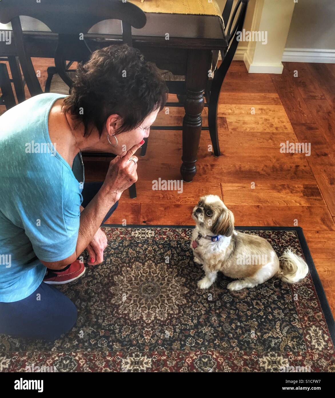 From barking hi-res stock photography and images - Alamy