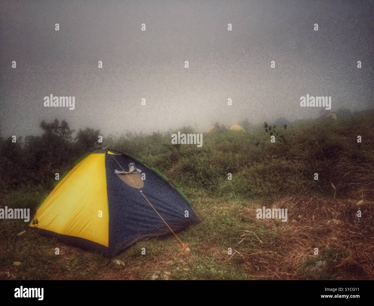 Mirning hi-res stock photography and images - Alamy
