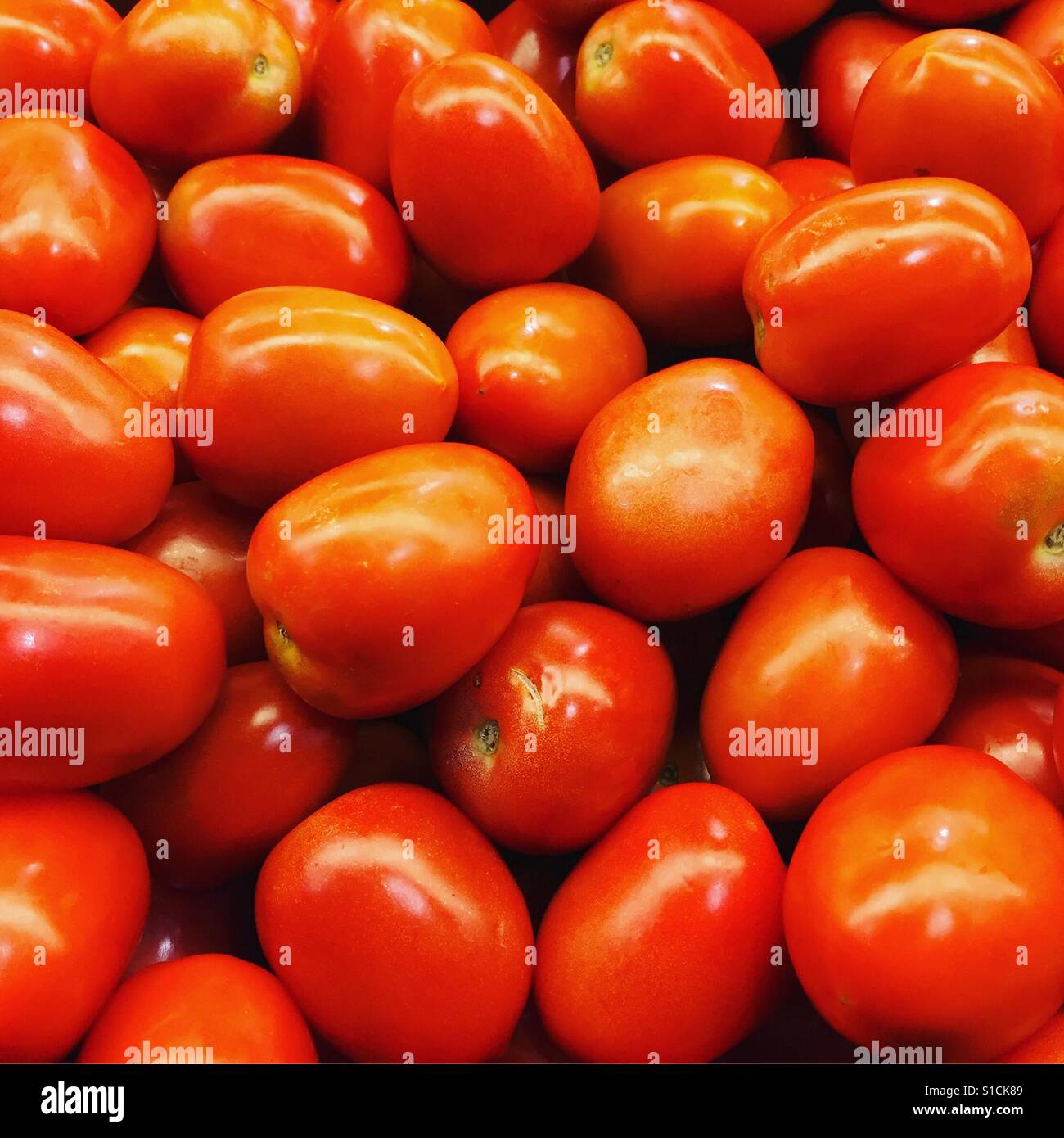 Roma tomatoes hi-res stock photography and images - Alamy