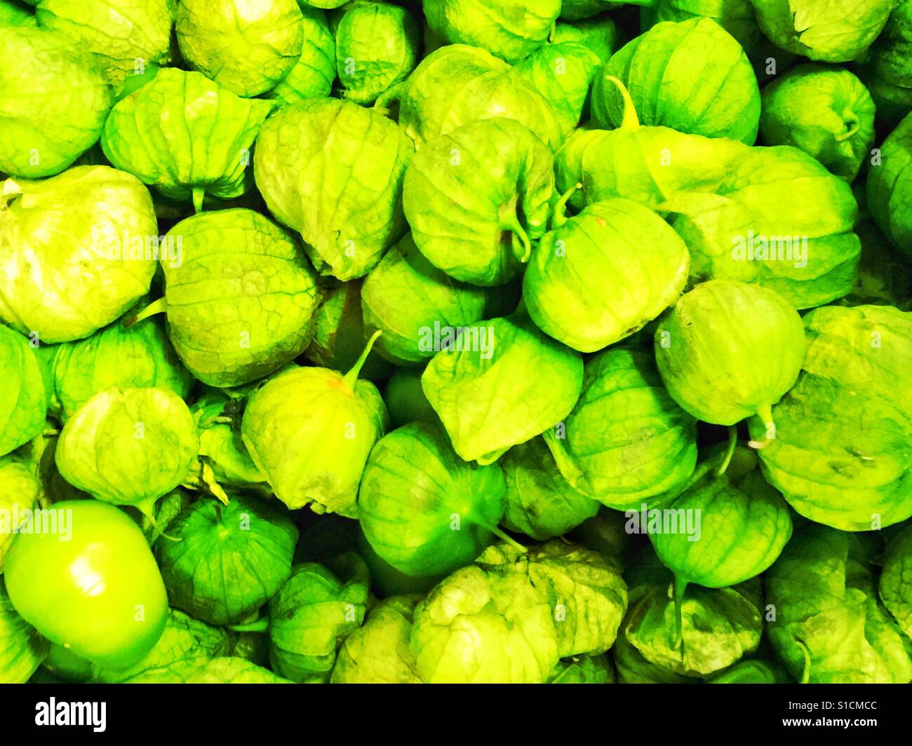 Tomatillos hi-res stock photography and images - Alamy