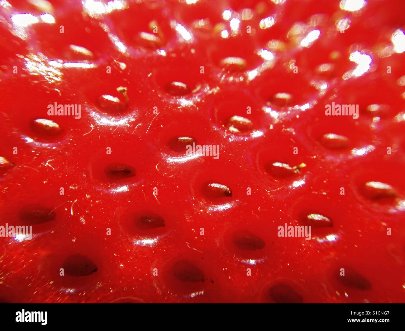 Deli macro hi-res stock photography and images - Alamy