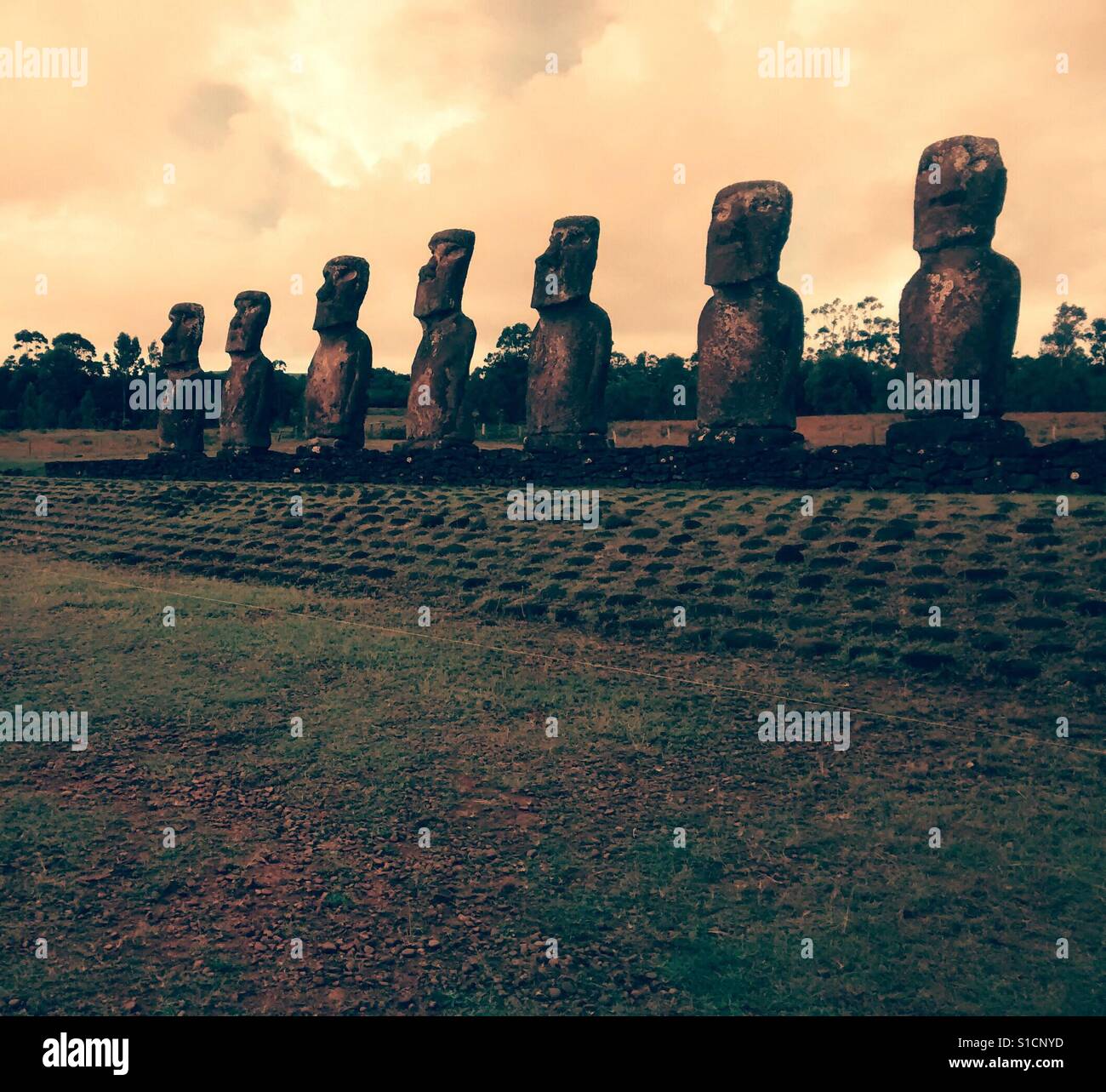A row of Easter island heads, Easter island, chile, South America Stock ...