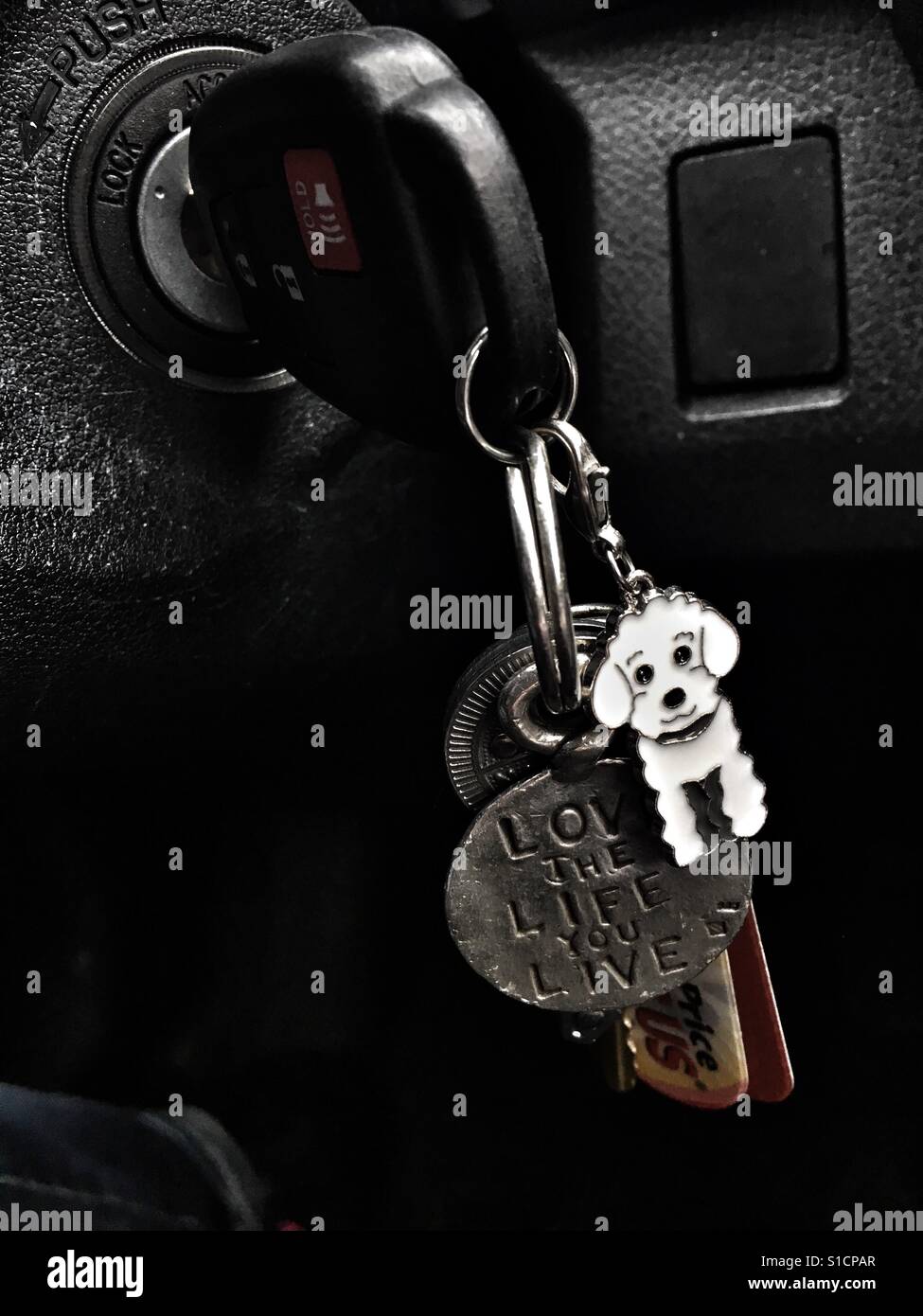 Dog keys hi-res stock photography and images - Alamy