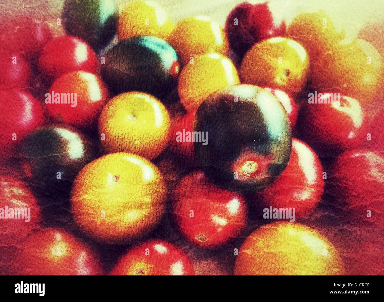 Different coloured small tomatoes Stock Photo - Alamy