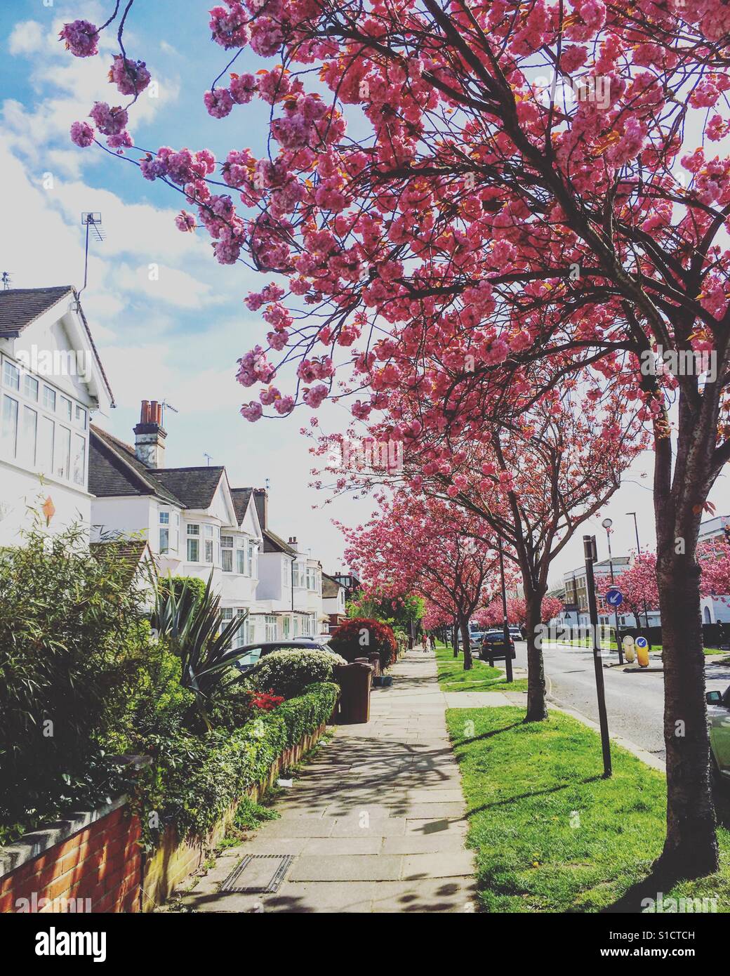 Chiswick street hi-res stock photography and images - Alamy