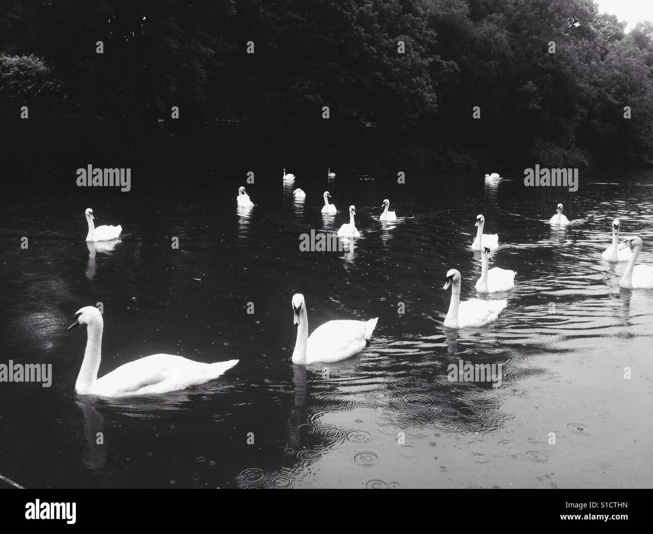 Riverside animals hi-res stock photography and images - Alamy