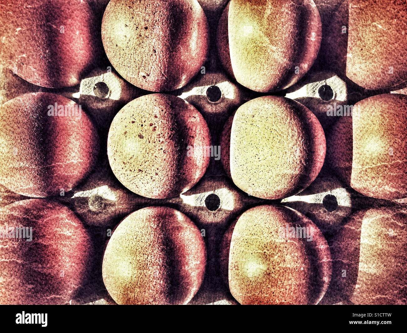 Eggs in an egg box Stock Photo - Alamy