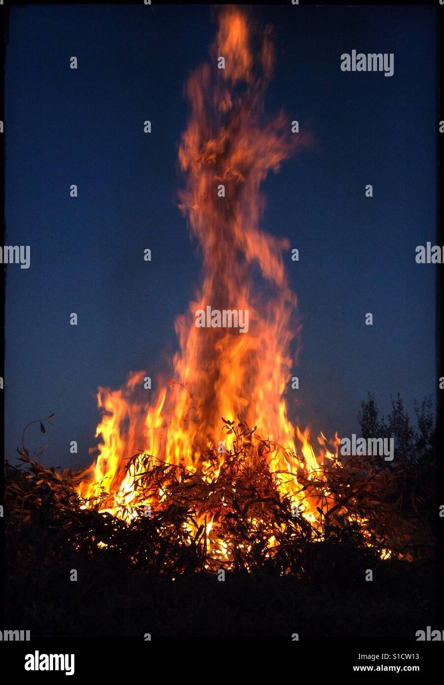 Daybreak bonfire in olive country, Catalonia, Spain Stock Photo - Alamy