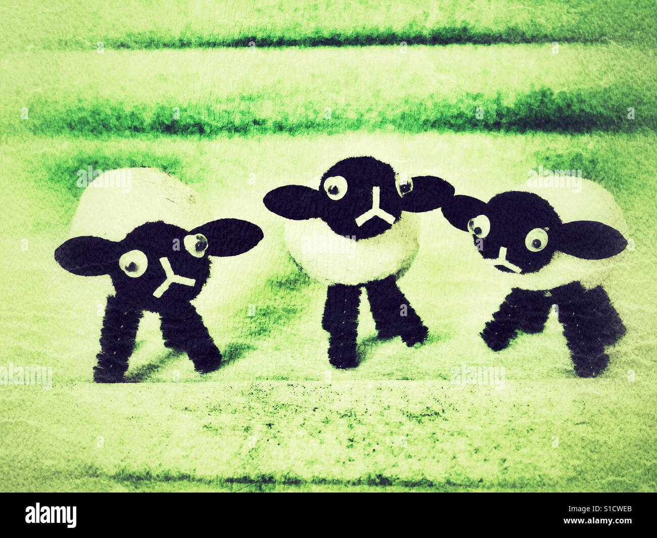 Three toy sheep Stock Photo - Alamy