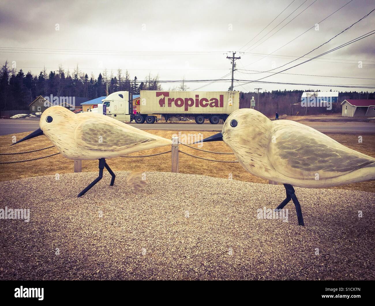 Birds truck hi-res stock photography and images - Alamy