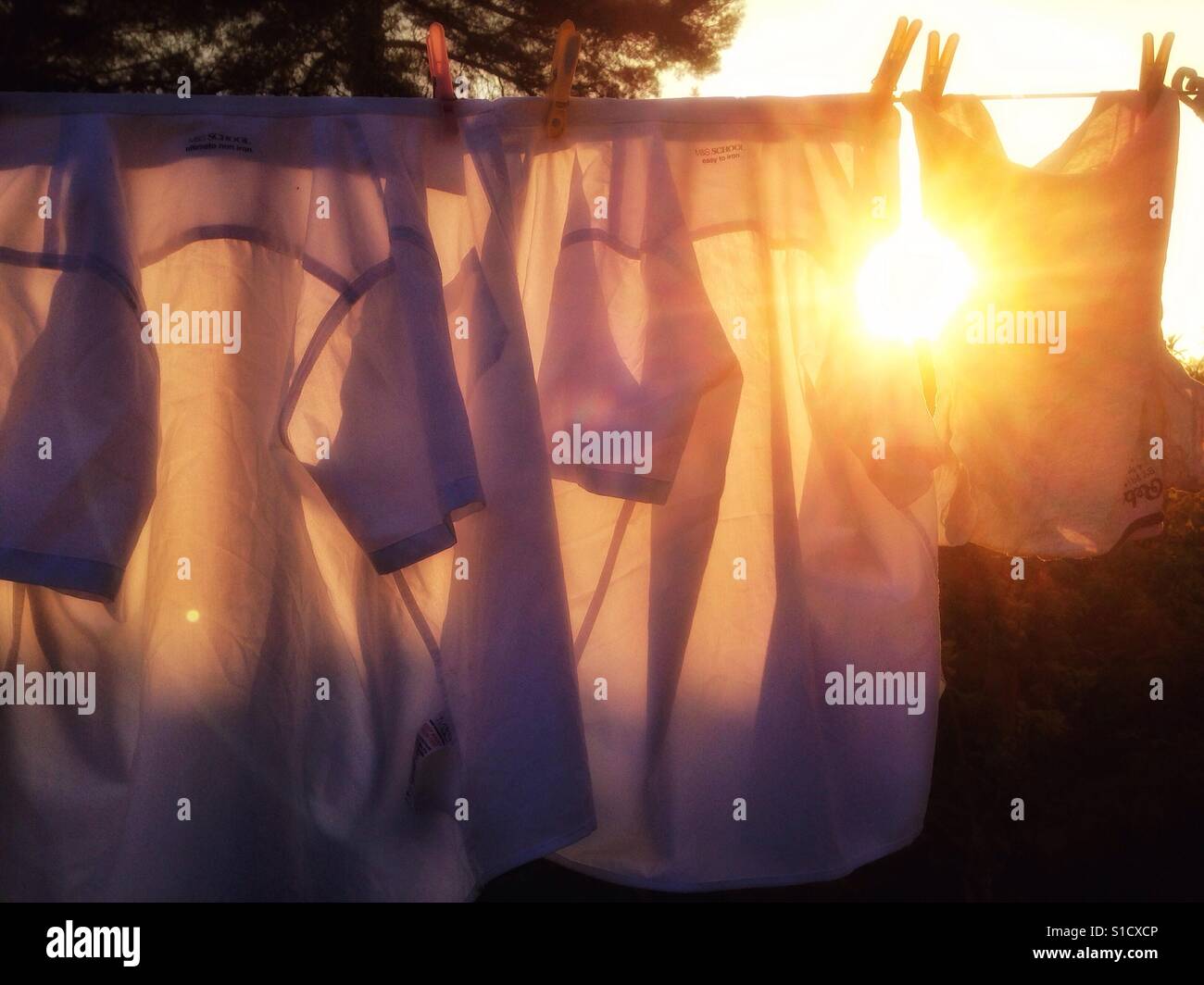 Evening sun shines between two shirts hanging on a washing line in a ...