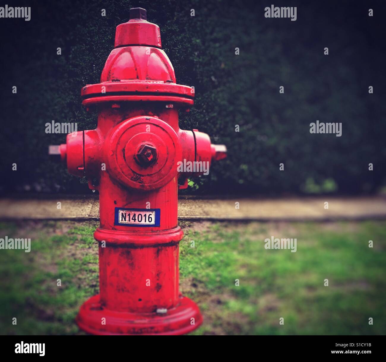 Canadian fire hydrant hi-res stock photography and images - Alamy