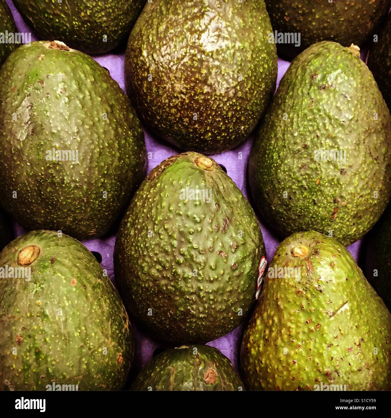 Avocados at a grocery store Stock Photo - Alamy