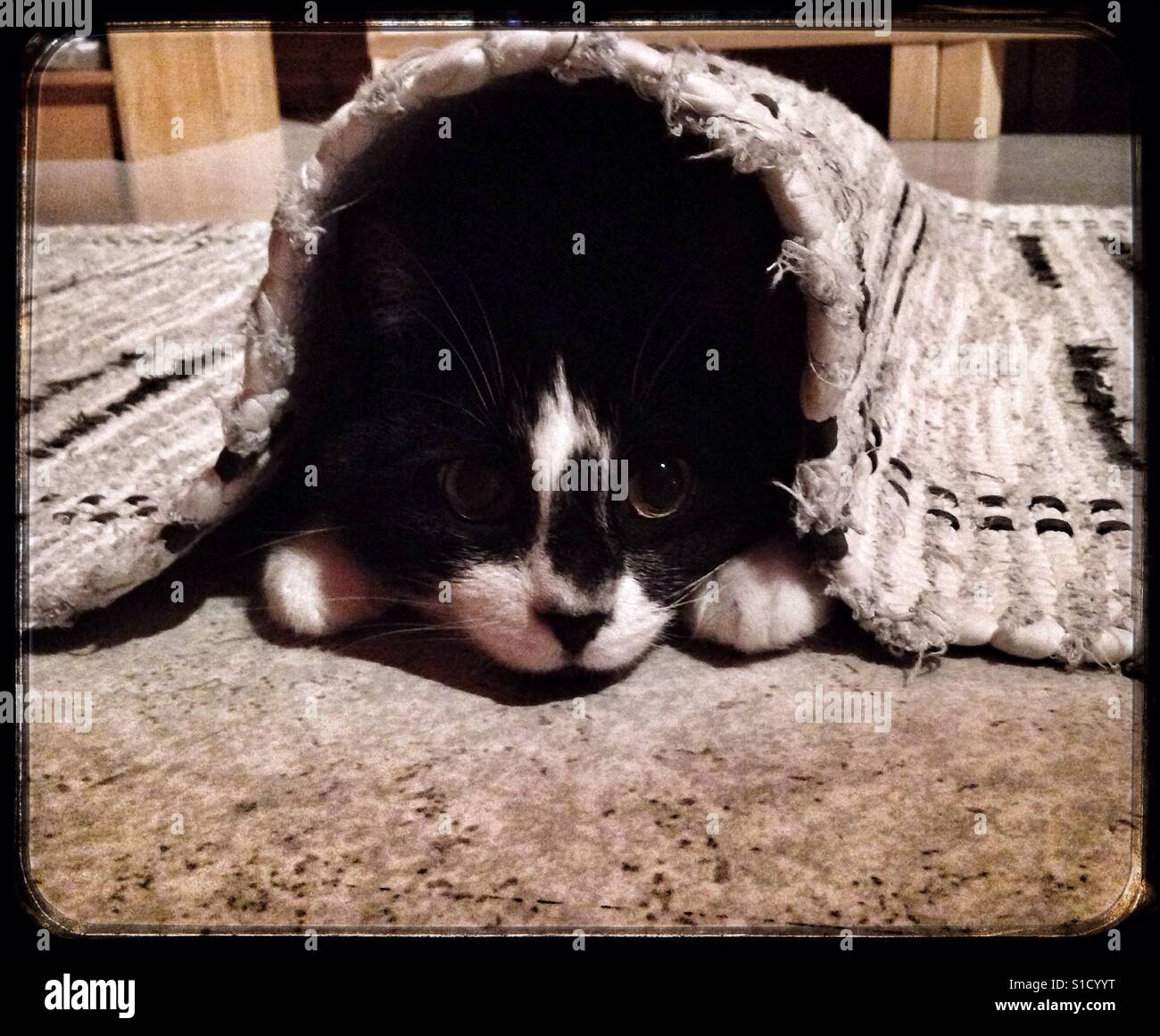 Matta hi-res stock photography and images - Alamy