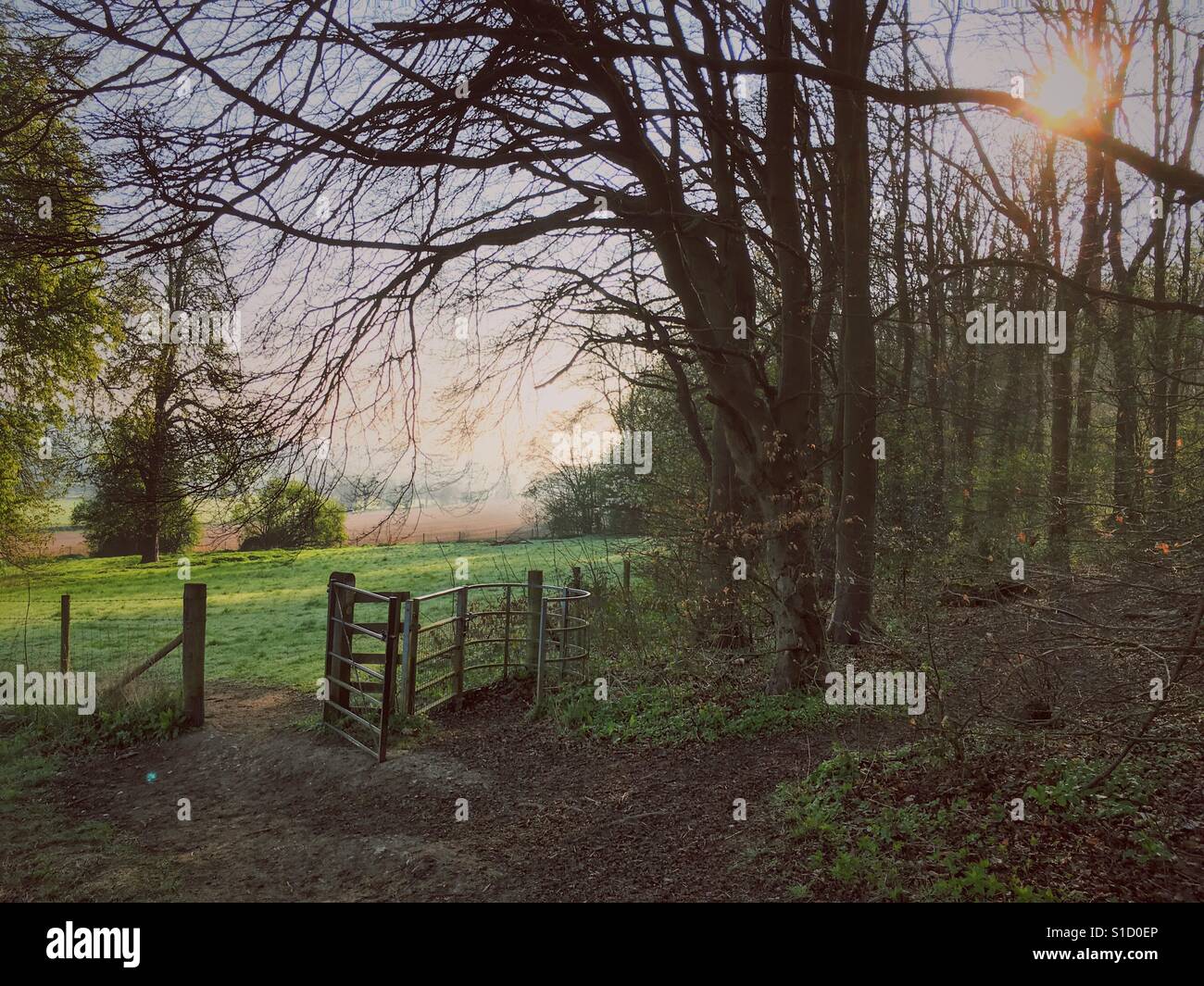 Spring morning walk in the Chilterns Stock Photo - Alamy