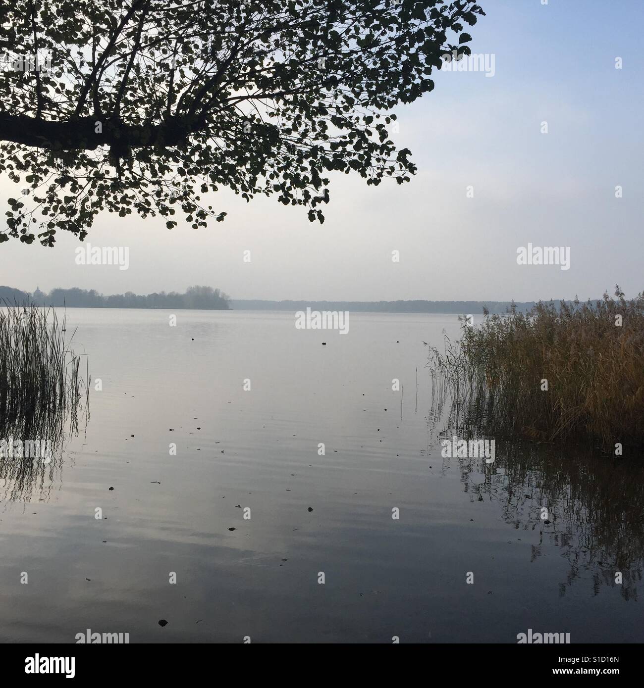 The beautiful Wandlitzsee in winter Stock Photo - Alamy