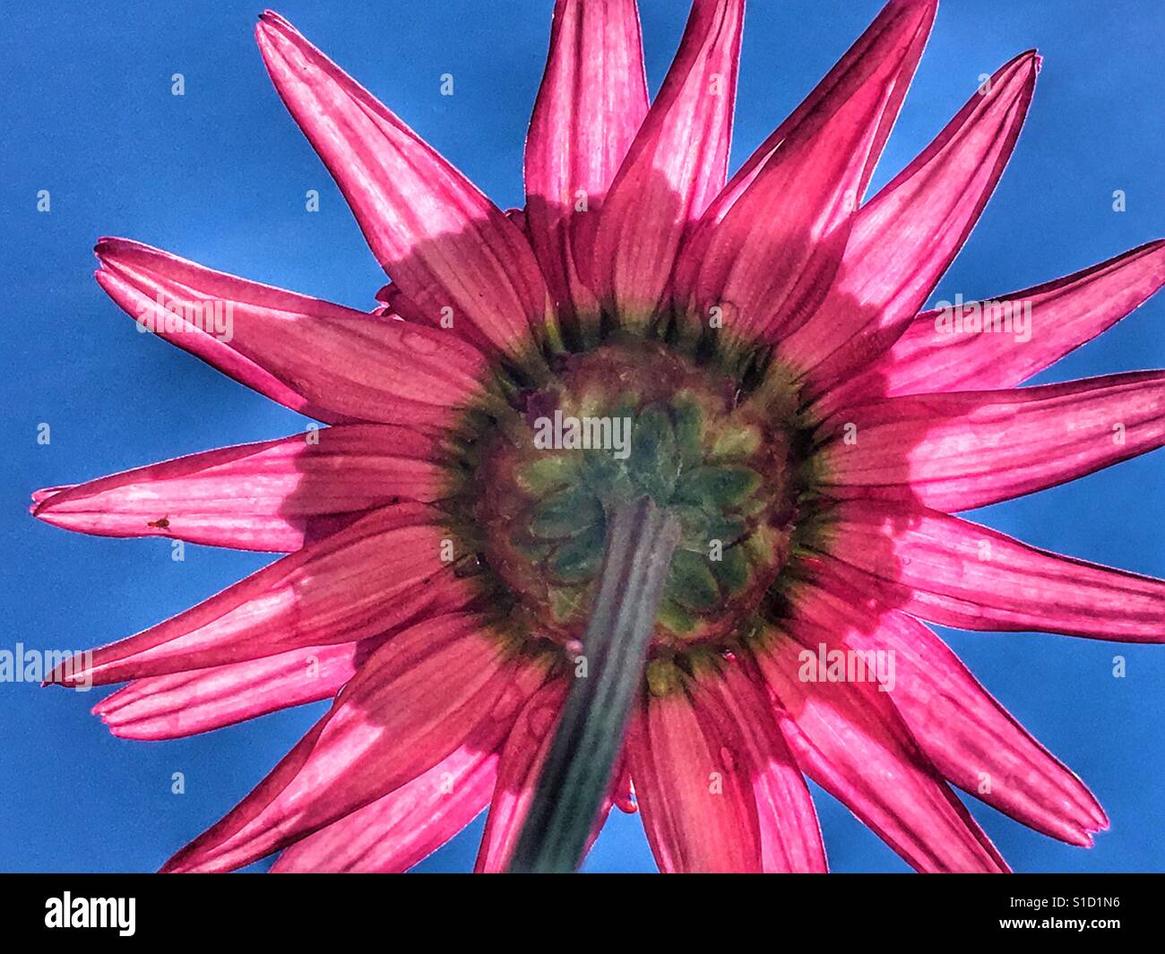 Extreme low angle hi-res stock photography and images - Alamy