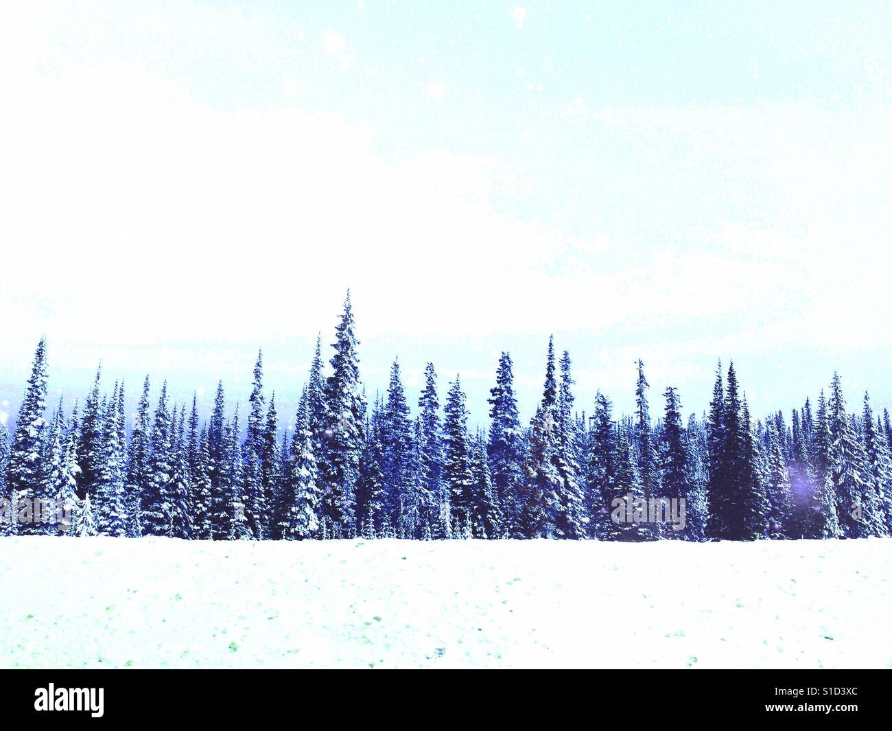 Snow leaks hi-res stock photography and images - Alamy